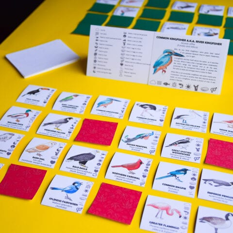 Bird Guess Who Game: Extended Version | Adventure in a Box