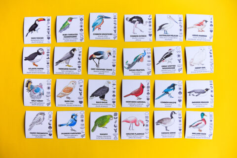 What Bird Am I: Game