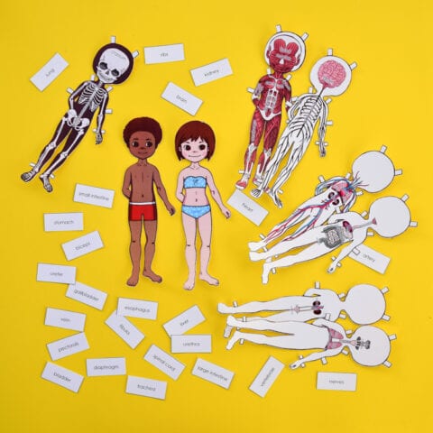 Printable Activities for Kids