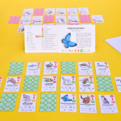 Endangered Animals Board Game | Adventure in a Box