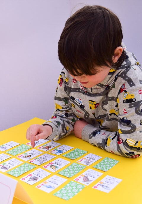 Endangered Animals Board Game | Adventure in a Box