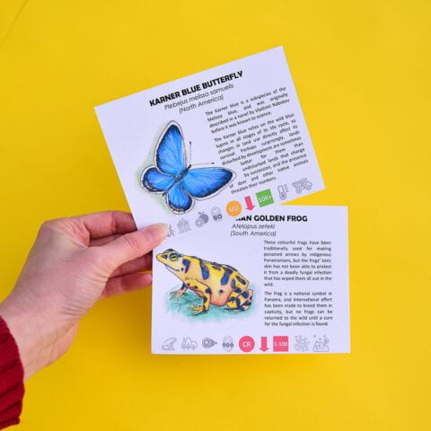 Printable Endangered Animals Game