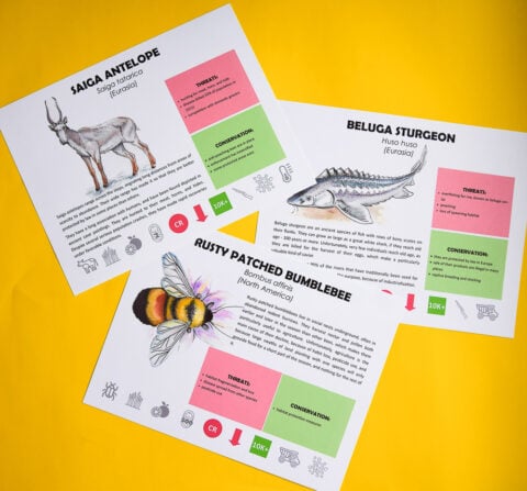 Printable Endangered Animals Game