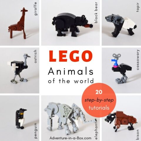 Animal Habitat Project with Lego Bricks