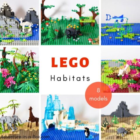 LEGO Animal Habitats Pack | Adventure in a Box