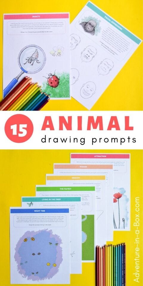 15 Animal Drawing Ideas
