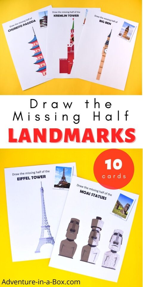 Draw the Missing Half: Landmarks