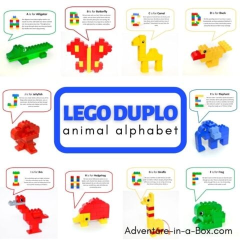 Animal STEAM Bundle | Adventure in a Box