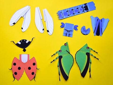 How to Make 3D Paper Insects with Printable Templates