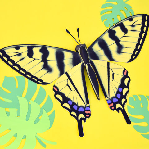 How to Make 3D Paper Insects with Printable Templates