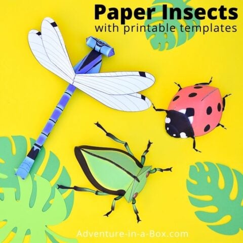 How to Make 3D Paper Insects with Printable Templates