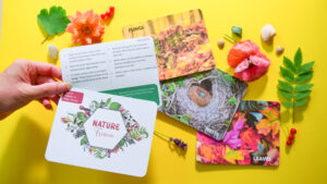 printable-nature-trivia-for-kids-0490 | Adventure in a Box