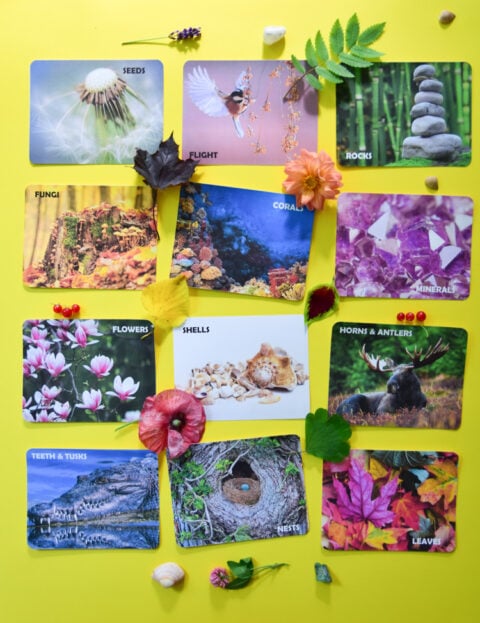 Nature Trivia Game for Kids with 144 Questions