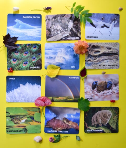 Nature Trivia Game for Kids with 144 Questions