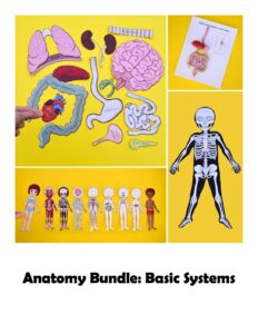 Anatomy Basic Bundle 2021 | Adventure in a Box