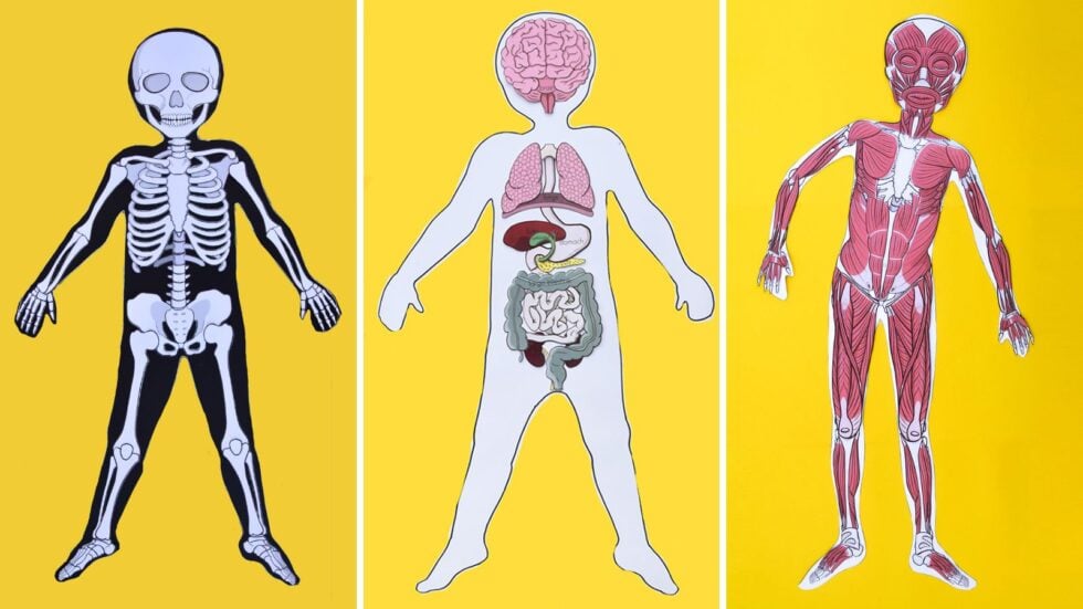 Printables | Adventure in a Box