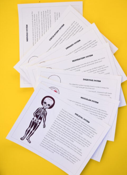 Printable Body Parts