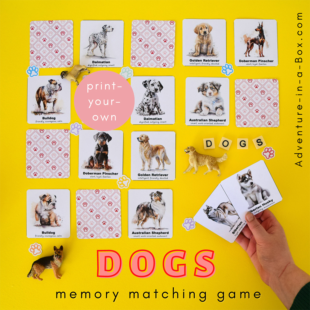 Dog Memory Game Adventure In A Box