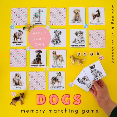 Printable Dog Breed Game
