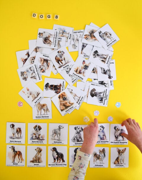 Printable Dog Matching Game (80+ cards)