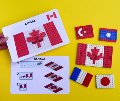 50 LEGO Flags with Printable Instructions